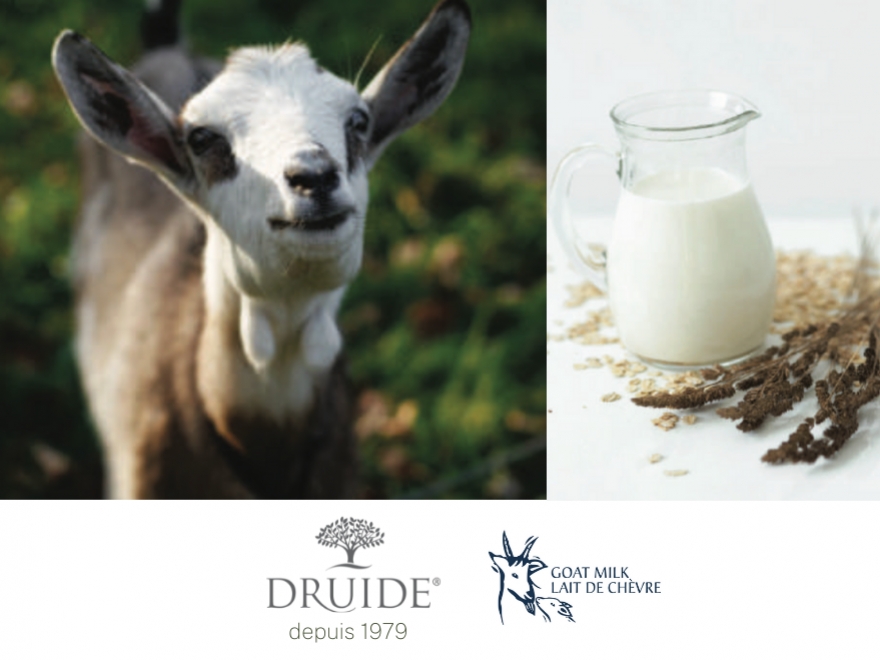 Le lait de chèvre et ses bienfaits dermatologiques | Druidebio.fr